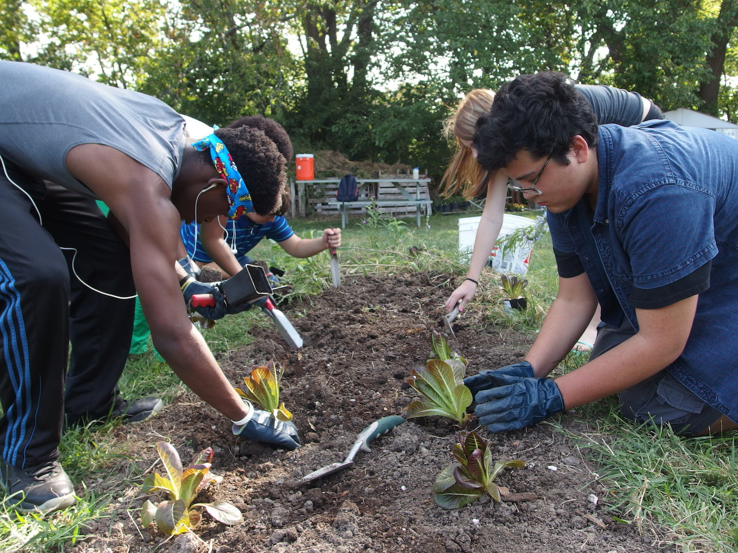 Examples of MU CEL Courses // Office of Community Engaged Learning